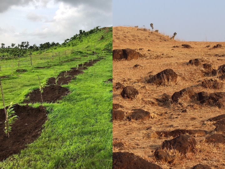 14 Trees Foundation